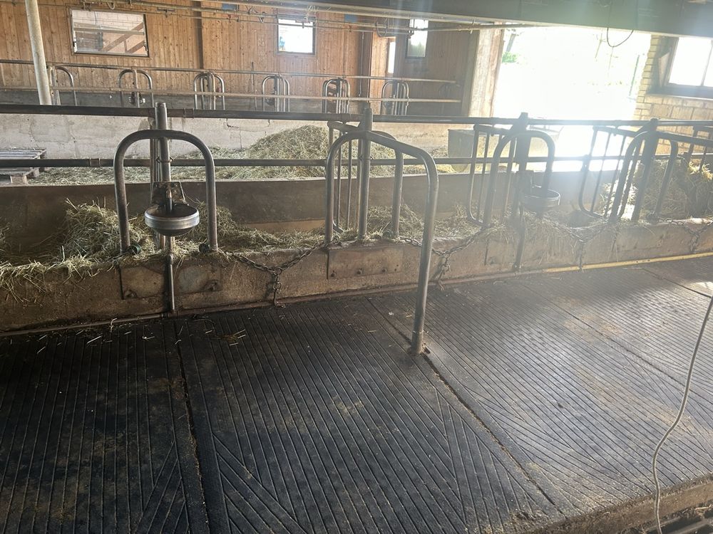 Anbindung für 22 Kühe (Gebraucht) in für CHF 1 – nur Abholung auf ...