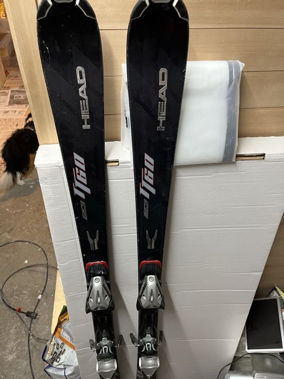 Ski Head TT60 158 cm (Gebraucht) in Schönenberg ZH für CHF 38 – nur ...