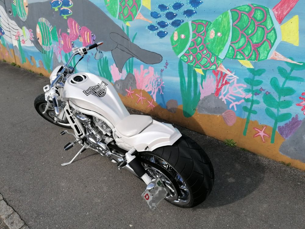 Harley Davidson V ROD 300🔥🔥🔥 (Gebraucht) in Kaltbrunn für CHF 18500 ...