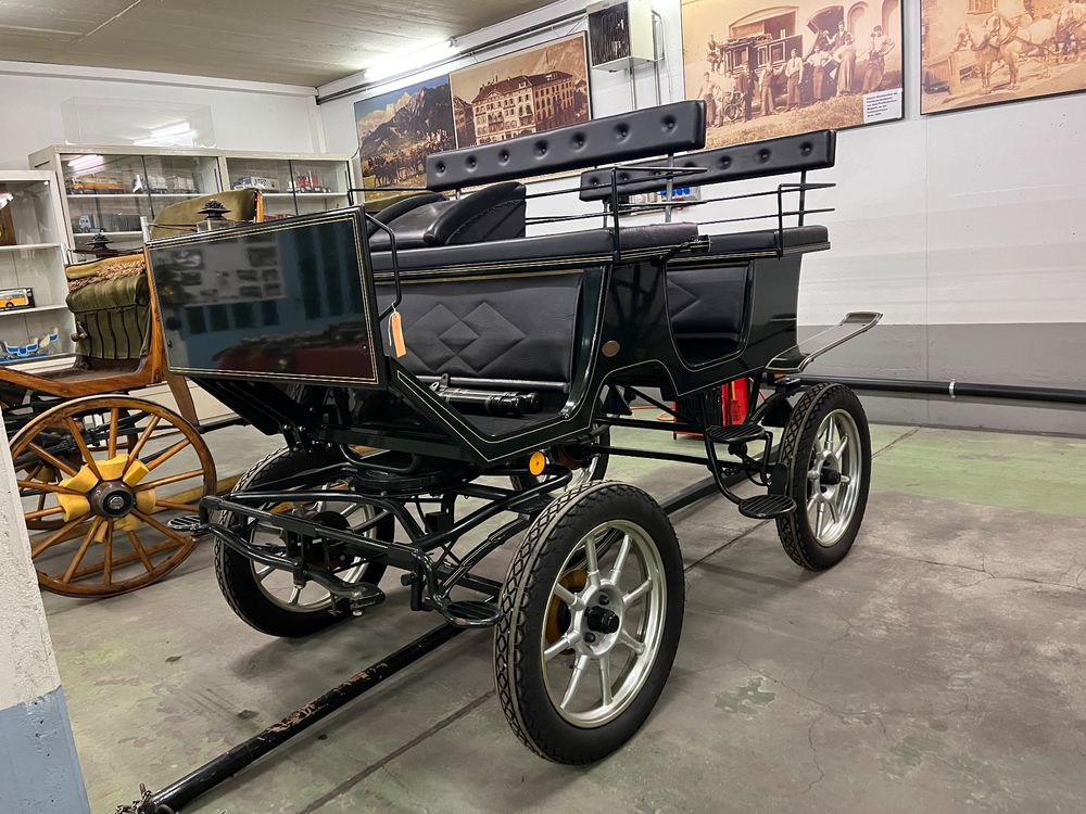 Kutsche (Gebraucht) in Chur für CHF 800 – nur Abholung auf Ricardo kaufen