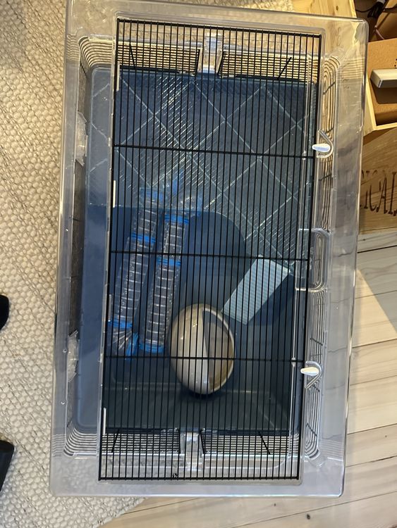 Ferplast Duna Fun Large - Nagerkäfig (Gebraucht) in Niederbipp für CHF ...