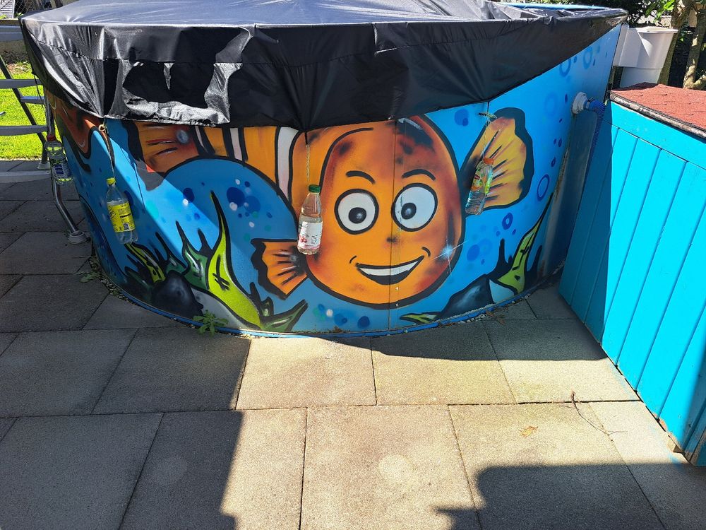 Sommer-Pool mit Filteranlage und Leiter, Durchmesser 3m | Kaufen auf ...