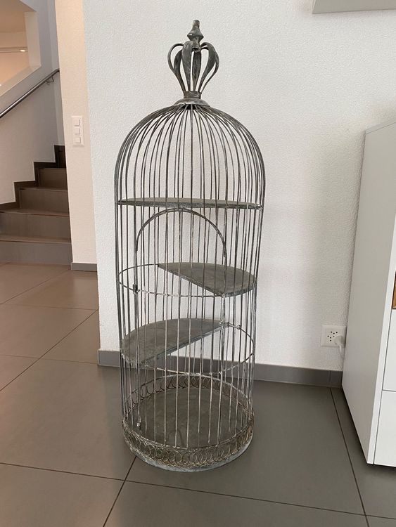 Vogelkäfig, Voliere, Deko, Vintage | Kaufen auf Ricardo