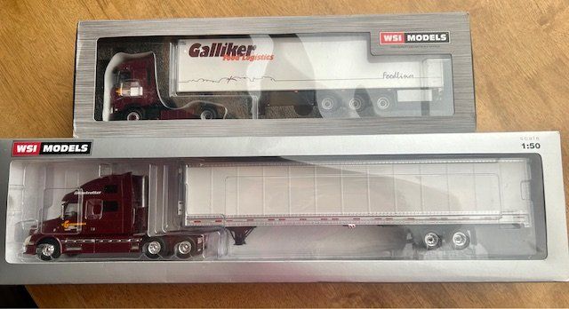 2 WSI LKW Modelle mit Anhänger neuwertig 1:50 Galliker | Kaufen auf Ricardo