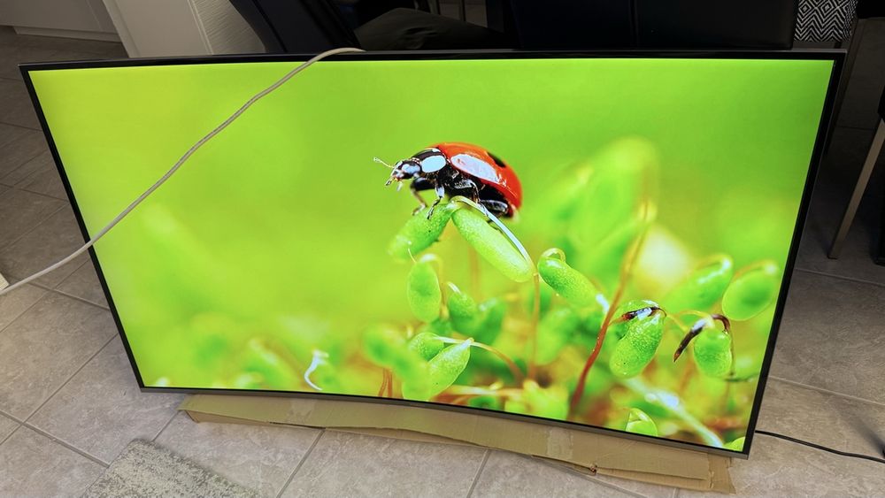 Samsung 65" UHD 4K Curved Smart TV KU6500 Serie SUHD mit S (Gebraucht ...