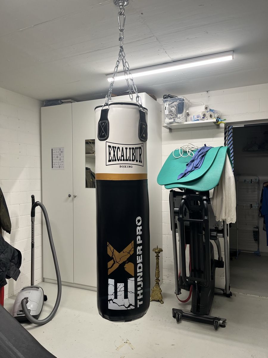Excalibur Boxsack Thunder Pro - Top Zustand! Für Training (Gebraucht ...