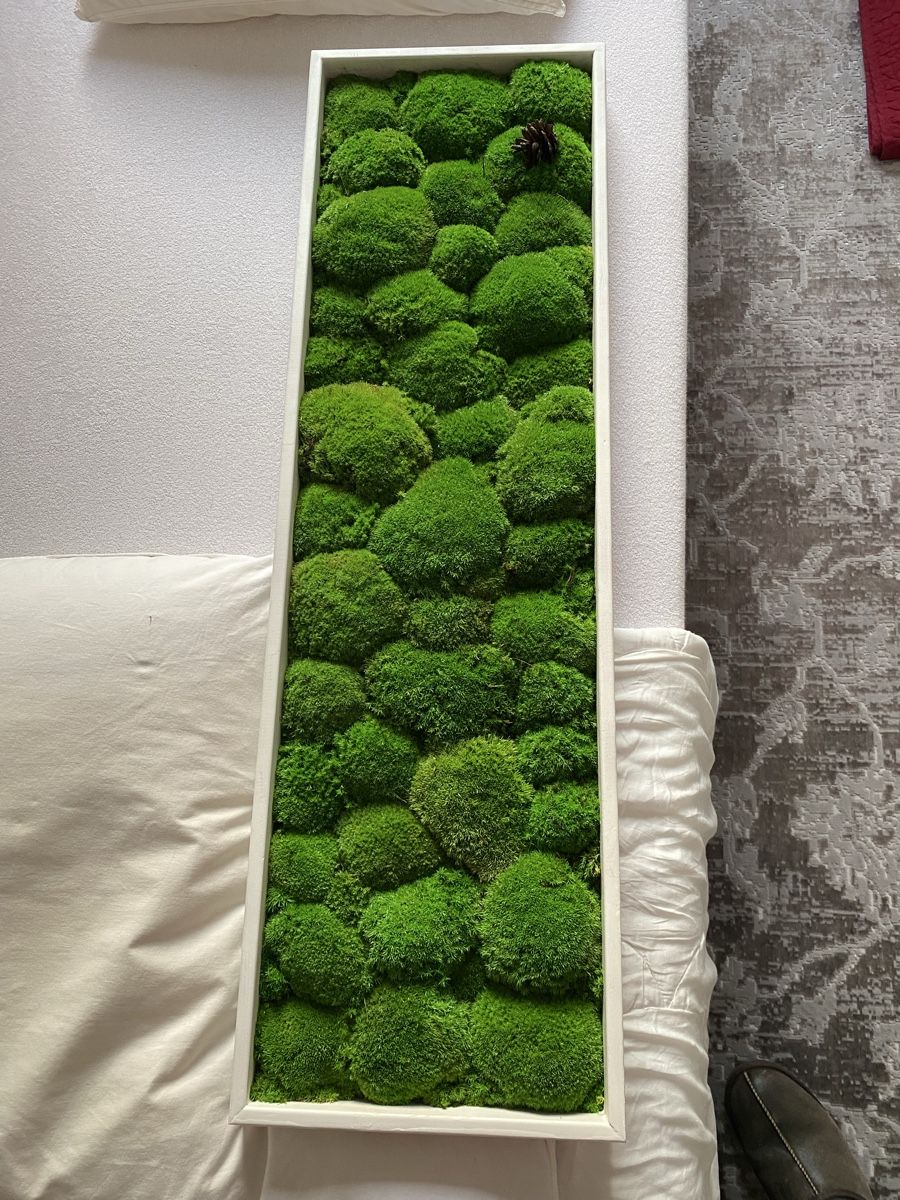 Tableau végétal stabilisé en mousse naturelle 🍀 100x30 cm (D'occasion ...