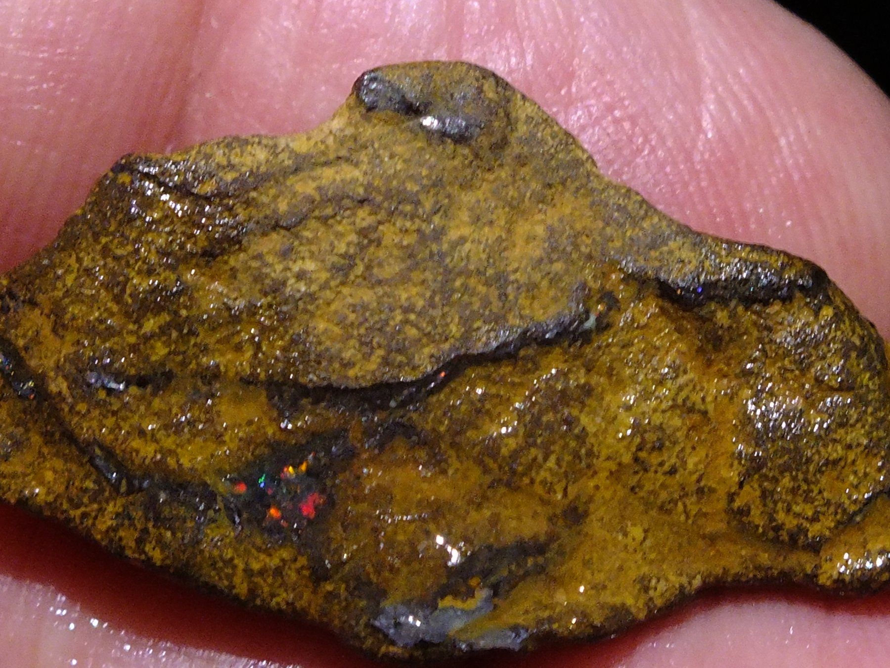 BOULDER ROH OPAL 22.20 Karat Gebot 1.- Elektrisch Rot feuer (Neu und ...