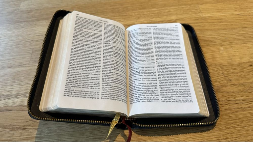 Schlachter 2000 Mini Bibel (Neu (gemäss Beschreibung)) in für CHF 30 ...