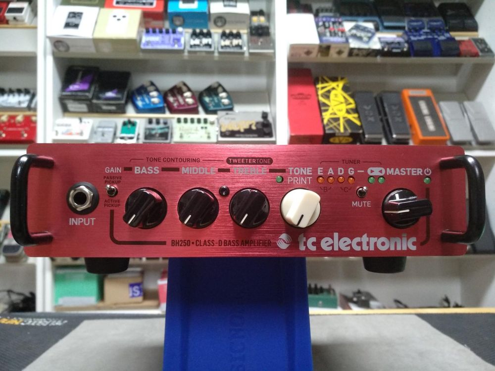 TC Electronic BH250 Bass Amplifier 250W TonePrint NP 254 Chf (Gebraucht ...