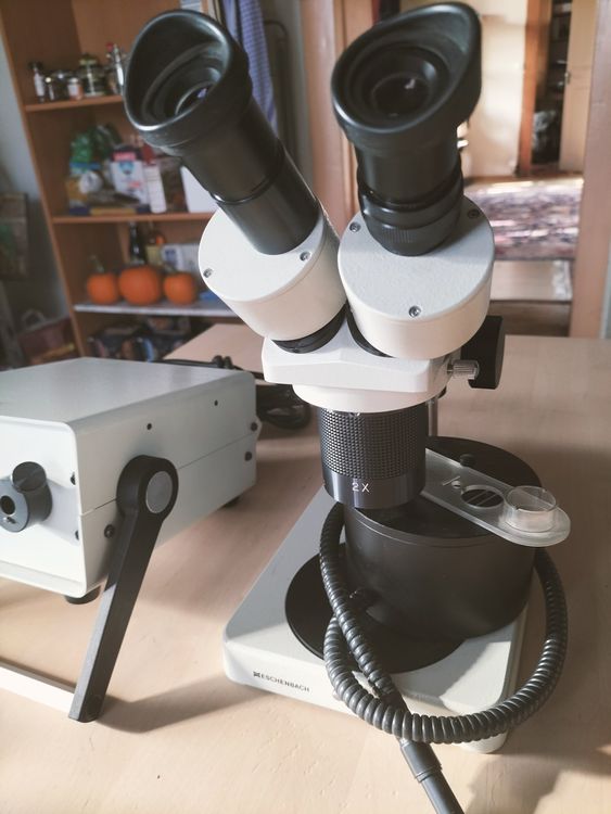 Microscope binoculaire + éclairage froid Eschen... (Gebraucht) in ...