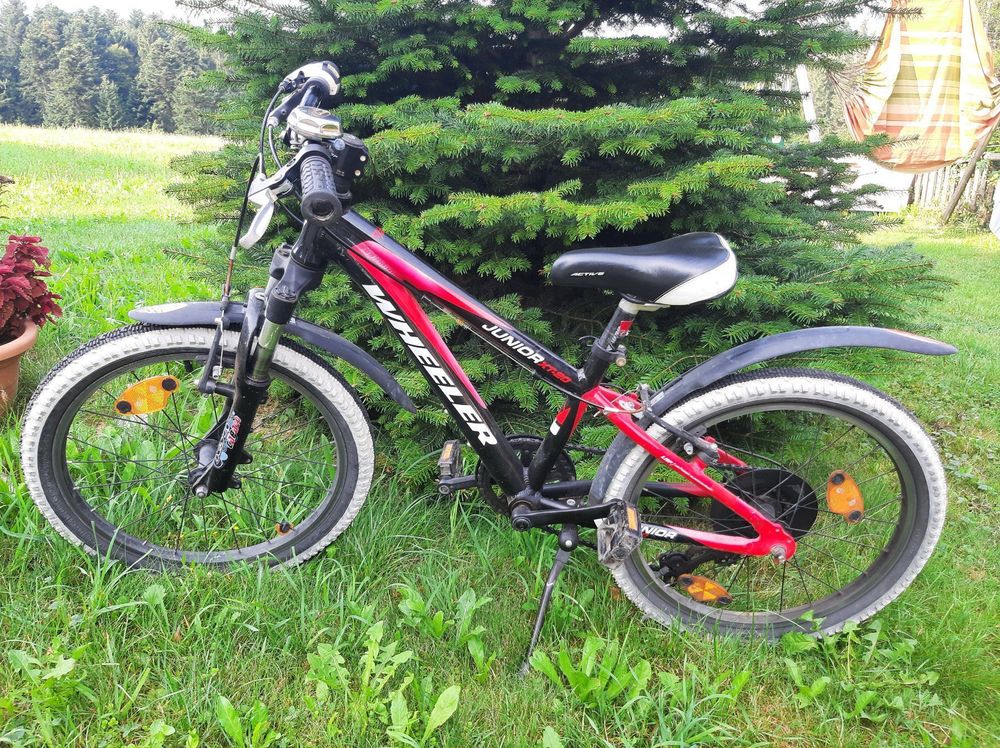 Wheeler Junior 20 Zoll (Gebraucht) in Weier im Emmental für CHF 50 ...
