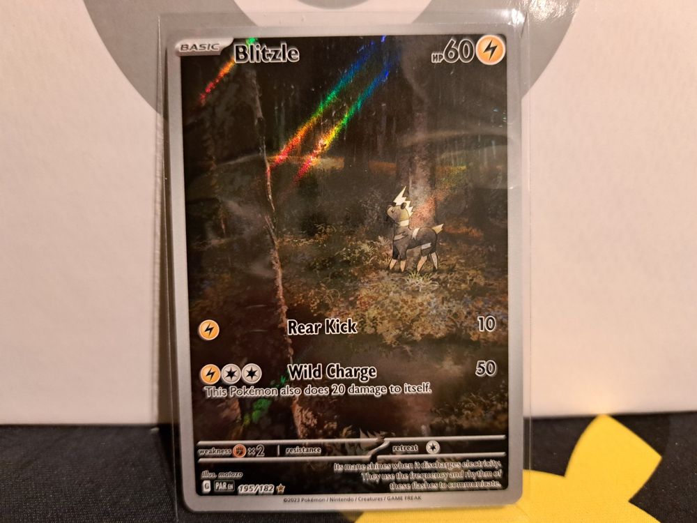 BLITZLE ILLUSTRATION RARE PARADOX RIFT POKEMON KARTE (Gebraucht) in für ...