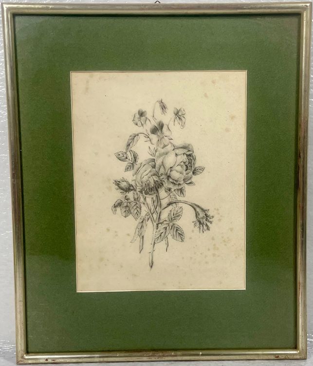 Sehr Alte Stilleben Zeichnung | Kaufen auf Ricardo