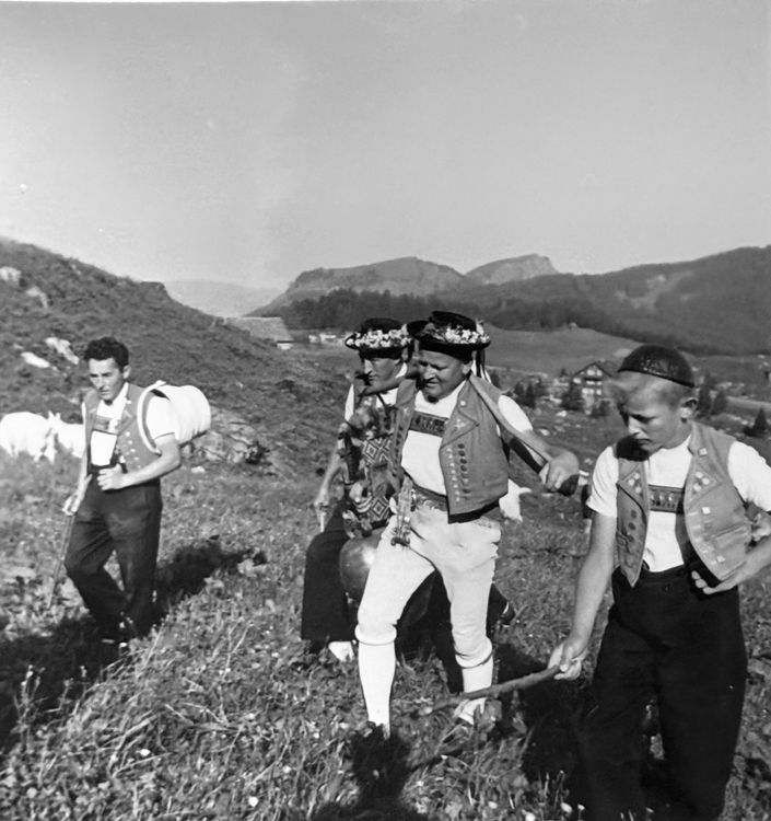 Originalfoto 1965 - Alpaufzug, Schwägalp, Landwirtschaft | Kaufen auf ...