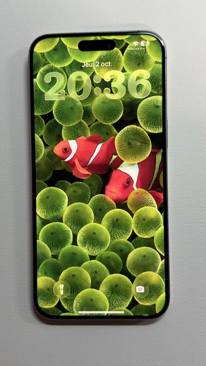 iPhone 15 Pro Max - 256 Go - Nat Titan excellent état (D'occasion) à ...