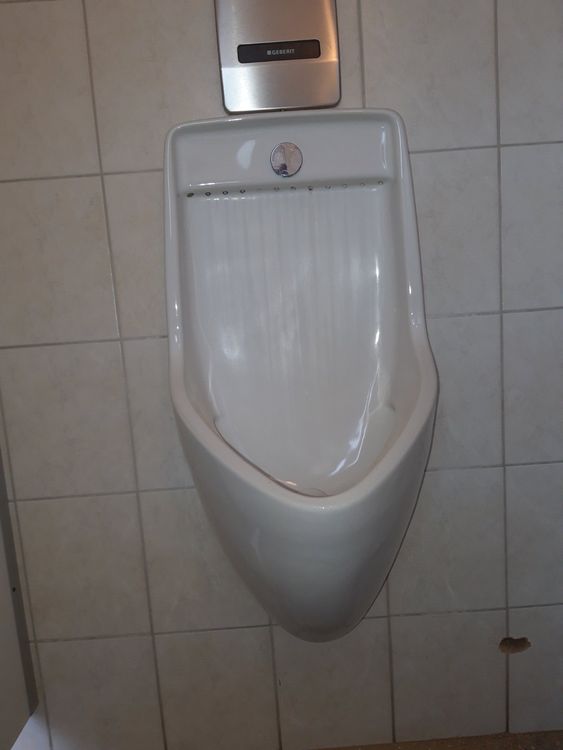 Pissoir (Gebraucht) in Wettingen für CHF 1 – nur Abholung auf Ricardo kaufen