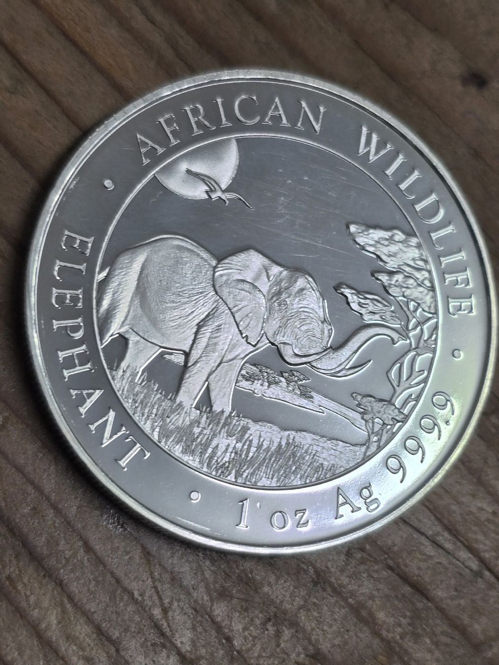 Somalia Elefant 2019, 1 Unze Silbermünze, Top Zustand! (Neu und ...