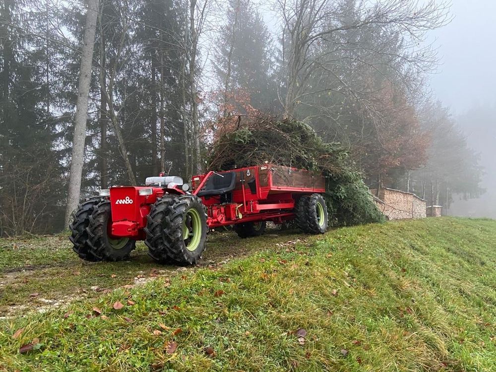Aebi AM 80 (Gebraucht) in Lütisburg-Station für CHF 3610 – nur Abholung ...