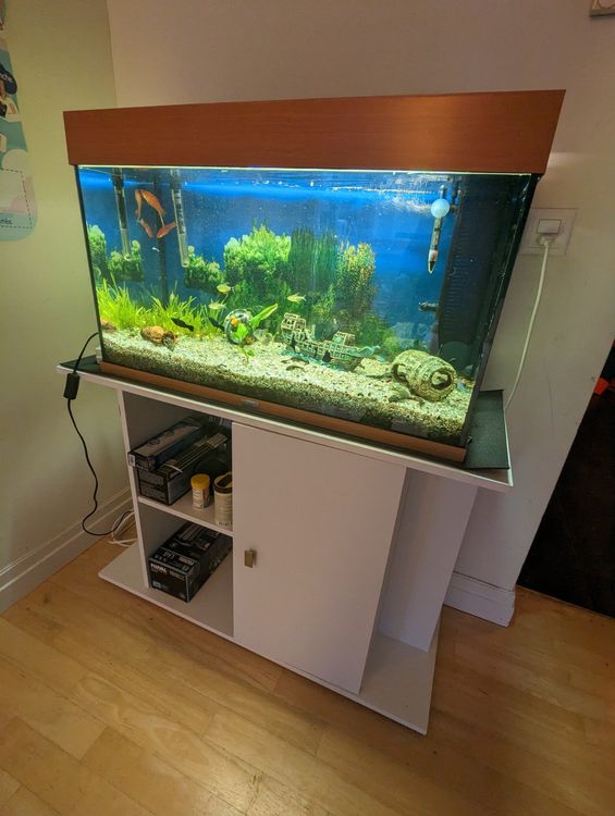 Juwell Rio 125 Komplett mit Fische, Zubehör und Möbel (Gebraucht) in ...