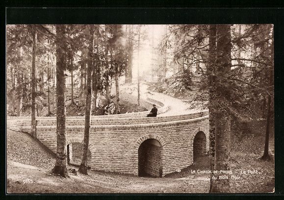 La Chaux-de-Fonds, Le Pont du Bois Noir (Gebraucht) in Berlin für CHF 3 – mit Lieferung auf ...