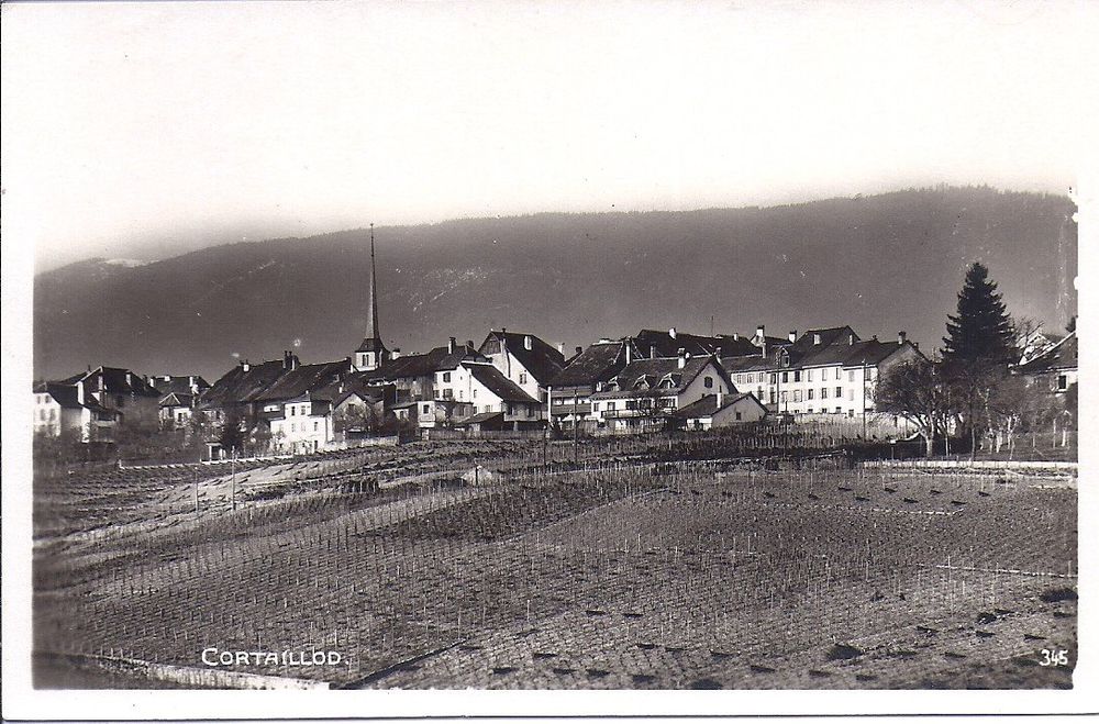 CORTAILLOD (Neu (gemäss Beschreibung)) in Les Verrières für CHF 7 – mit ...