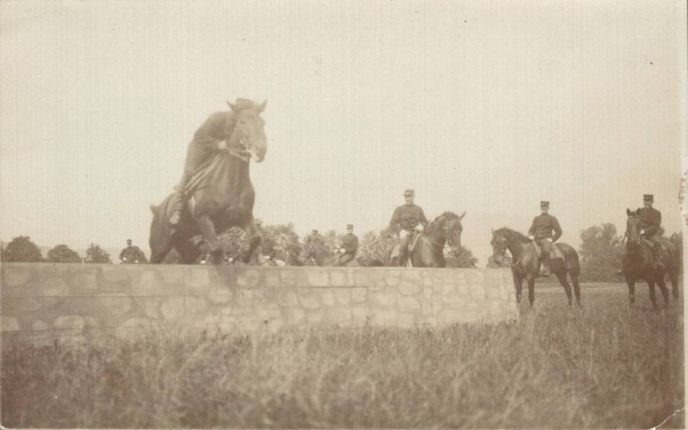 Alte Postkarte Kavallerie Springreiten Militär Pferd Dressur (Gebraucht ...