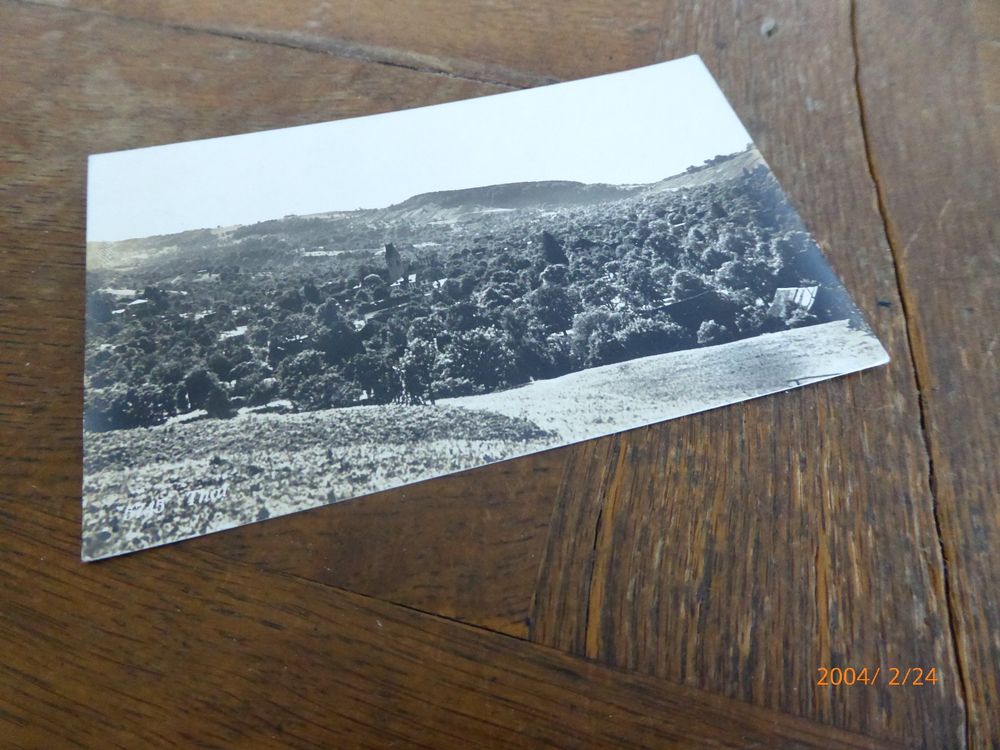 THAL - SG | Kaufen auf Ricardo