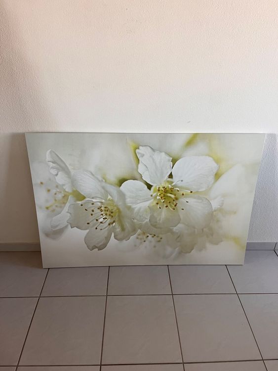 Blumenbild | Kaufen auf Ricardo