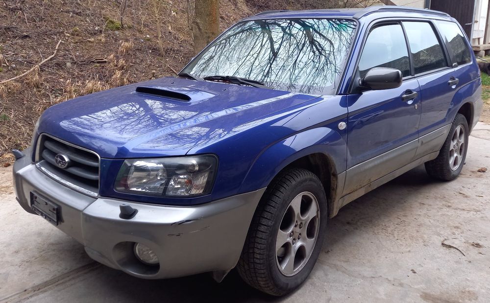 Subaru Forester GT | Kaufen auf Ricardo
