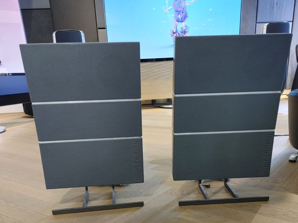 Bang & Olufsen Beovox RL 60.2 Typnr. 6513 Lautsprecherpaar (Gebraucht ...