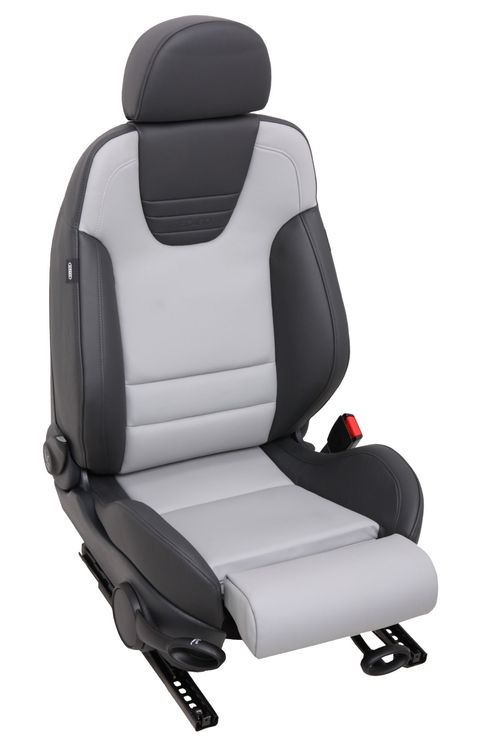 R50 R52 R53 MINI RECARO Sitz Sportsitz Ledersitz seat JCW (Gebraucht ...