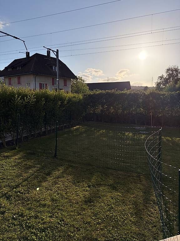 14m Garten Zaun mit Pfosten (Gebraucht) in Kölliken für CHF 1 – nur ...