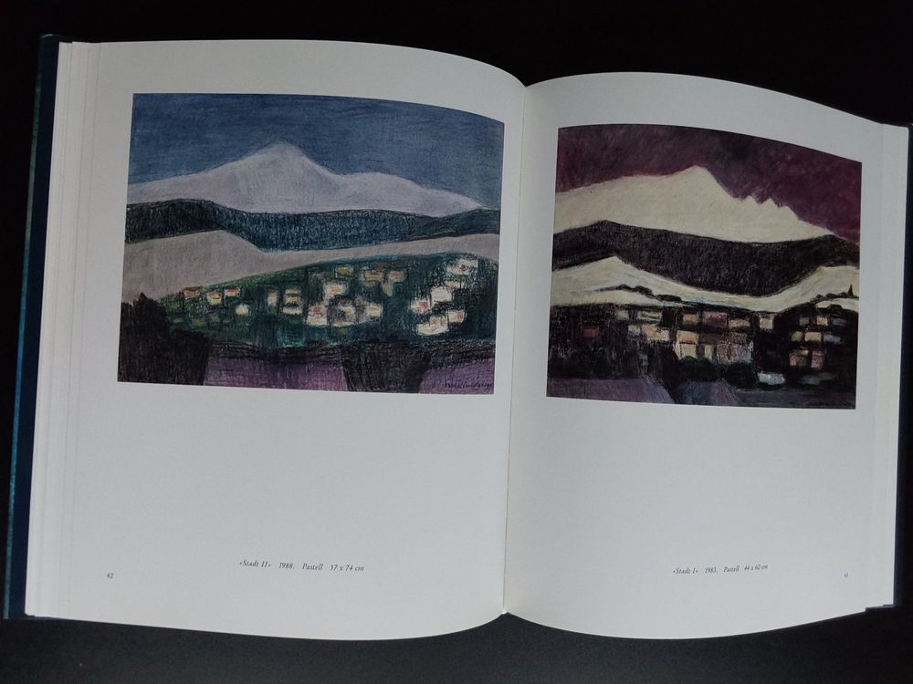 Nora Anderegg.Kunstbuch 1988 24x29cm. Mit 93 Seiten. | Kaufen auf Ricardo