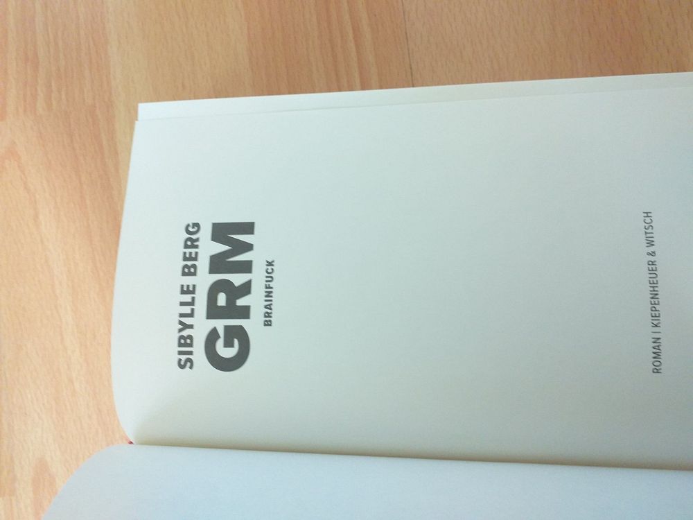 Sibylle Berg GRM Brainfuck Roman Dystopie Hardcover gebunden (Gebraucht ...