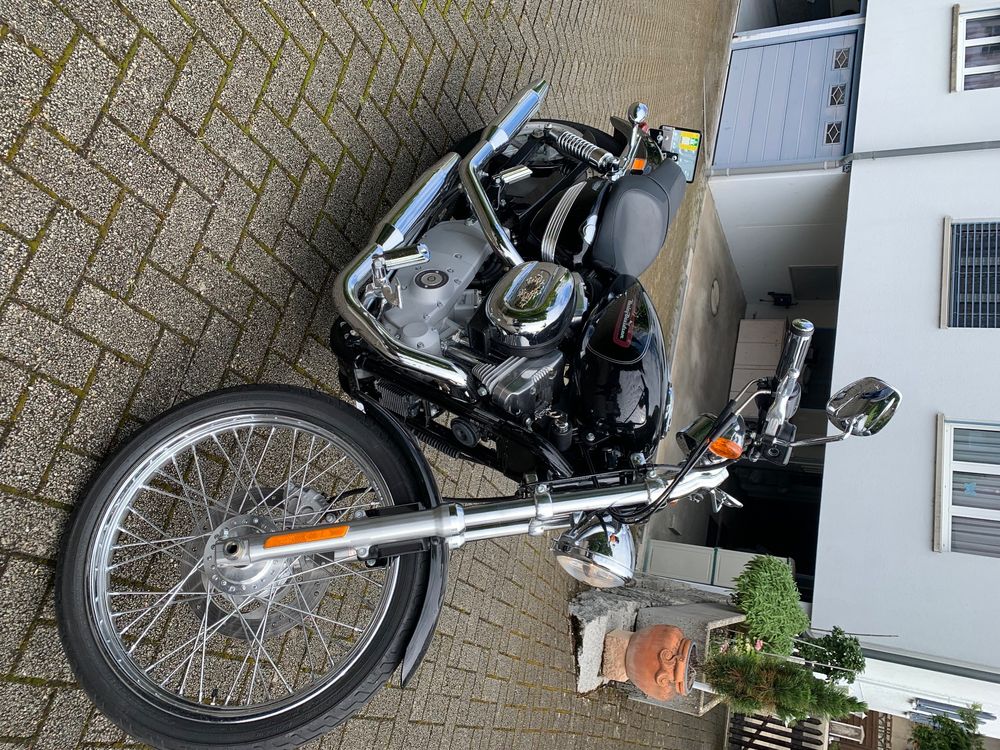 Harley Davidson XL883C jg. 2008 | Kaufen auf Ricardo