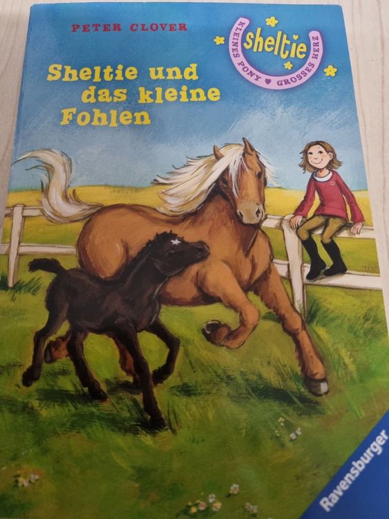 Sheltie und das kleine Fohlen | Kaufen auf Ricardo