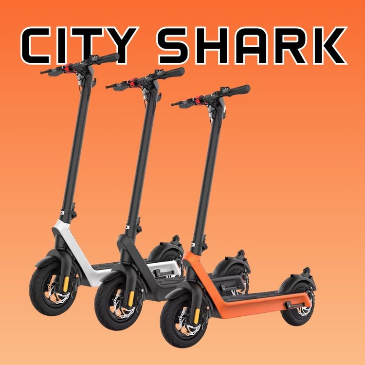 E-Scooter - City Shark (Neu und originalverpackt) in neuhausen am Rheinfall für CHF 650 – mit ...