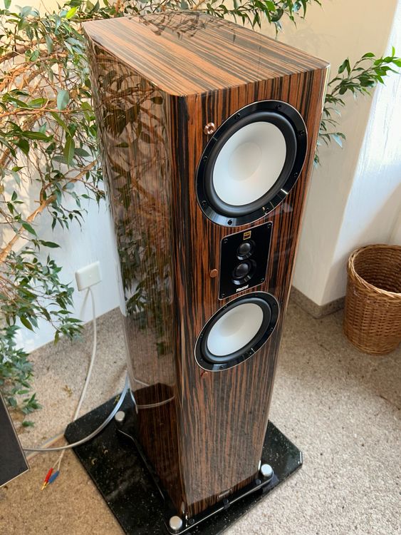 Magnat Signature 905 - Topzustand - super Tests - gematcht (Gebraucht ...