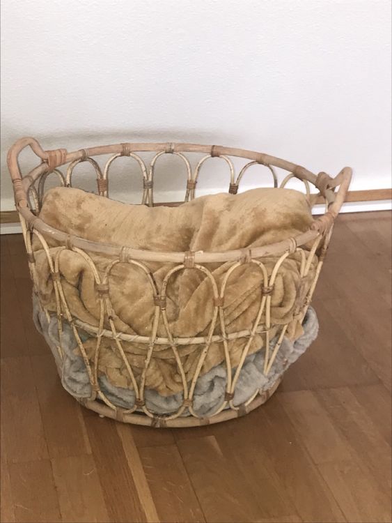 Toller Korb (Neu (gemäss Beschreibung)) in Allschwil für CHF 6 – nur ...
