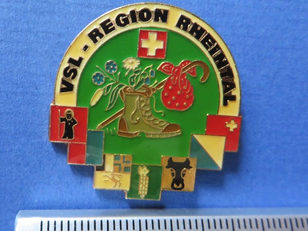 PIN'S PIN,VSL REGION RHEINTAL,WAPPEN WANDERN,SCHWEIZ,limitie (Gebraucht ...