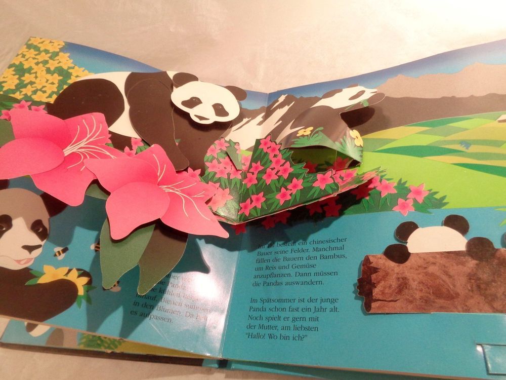 Pop-Up Buch / Die Pandas / Panda / Mit beweglichen Bildern (Gebraucht ...