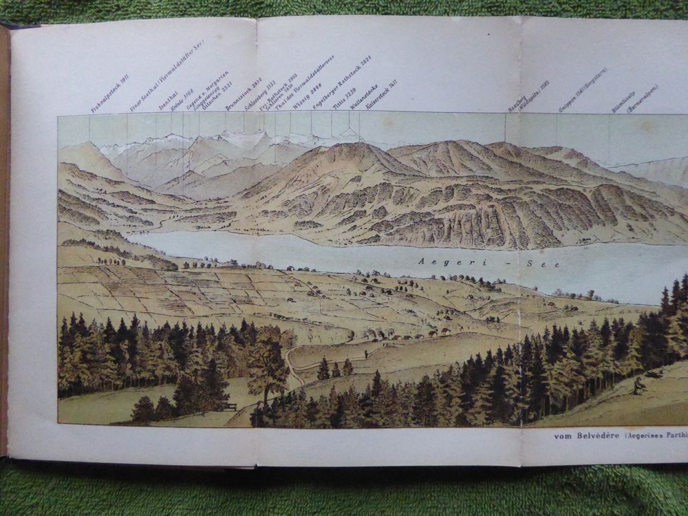 Panorama vom Gottschalkenberg, von S. Simon, 1886 (Gebraucht) in ...