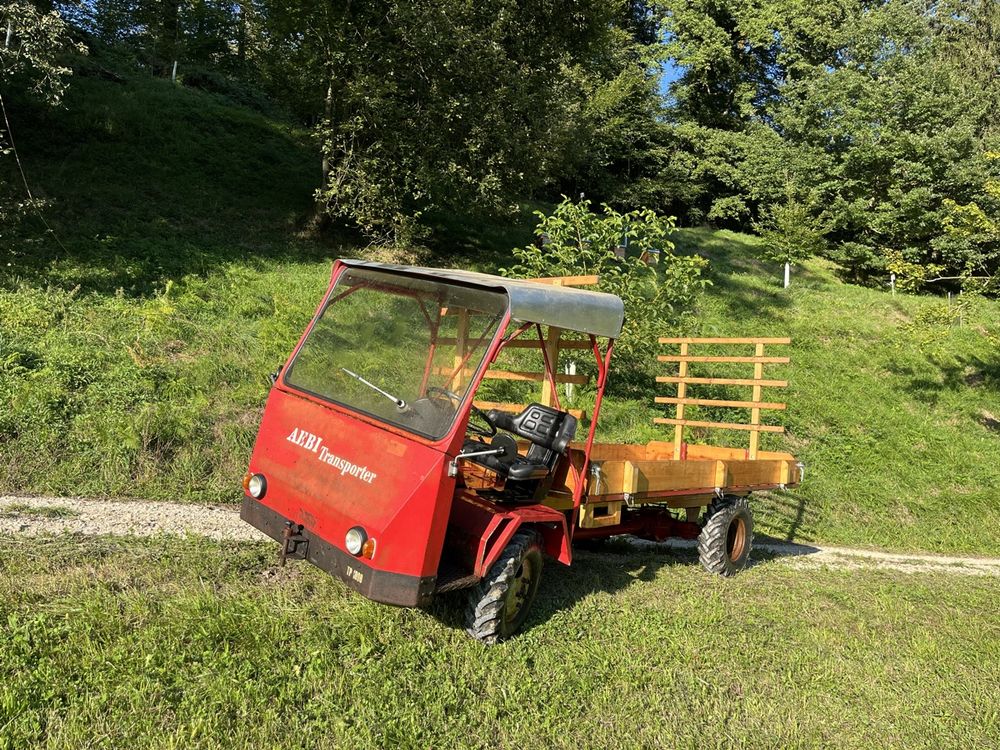 Aebi TP 1000 (Gebraucht) in Gretzenbach für CHF 1500 – nur Abholung auf Ricardo kaufen