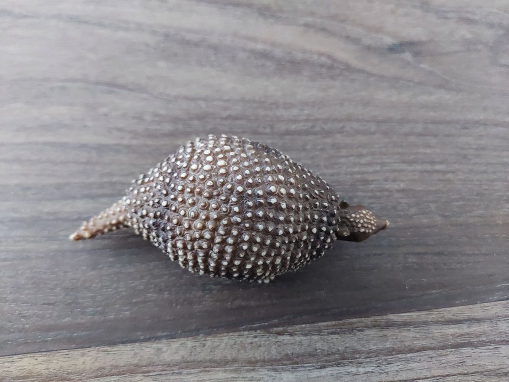 Schleich Urzeittiere Glyptodon (Gebraucht) in Altishofen für CHF 25 ...