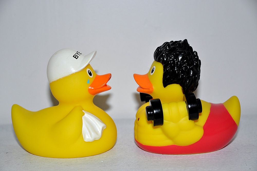 2 BADEENTEN Schwimmenten Bodybuilding & Bye Bye neuwertig | Kaufen auf ...