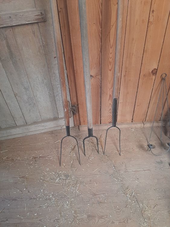 Heu gabel (Gebraucht) in Uettligen für CHF 5 – nur Abholung auf Ricardo kaufen