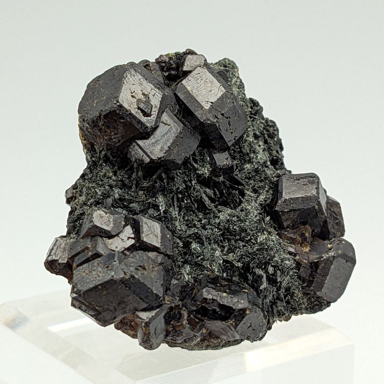 Seltene MELANIT, SCHWARZER GRANAT mit EPIDOT, Mali (Nuovo (secondo la ...