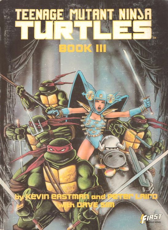 TEENAGE MUTANT NINJA TURTLES VOL. 3 – FIRST GRAPHIC NOVEL (Gebraucht ...