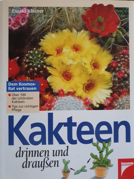 Kakteen Niedrigere Klassifizierungen